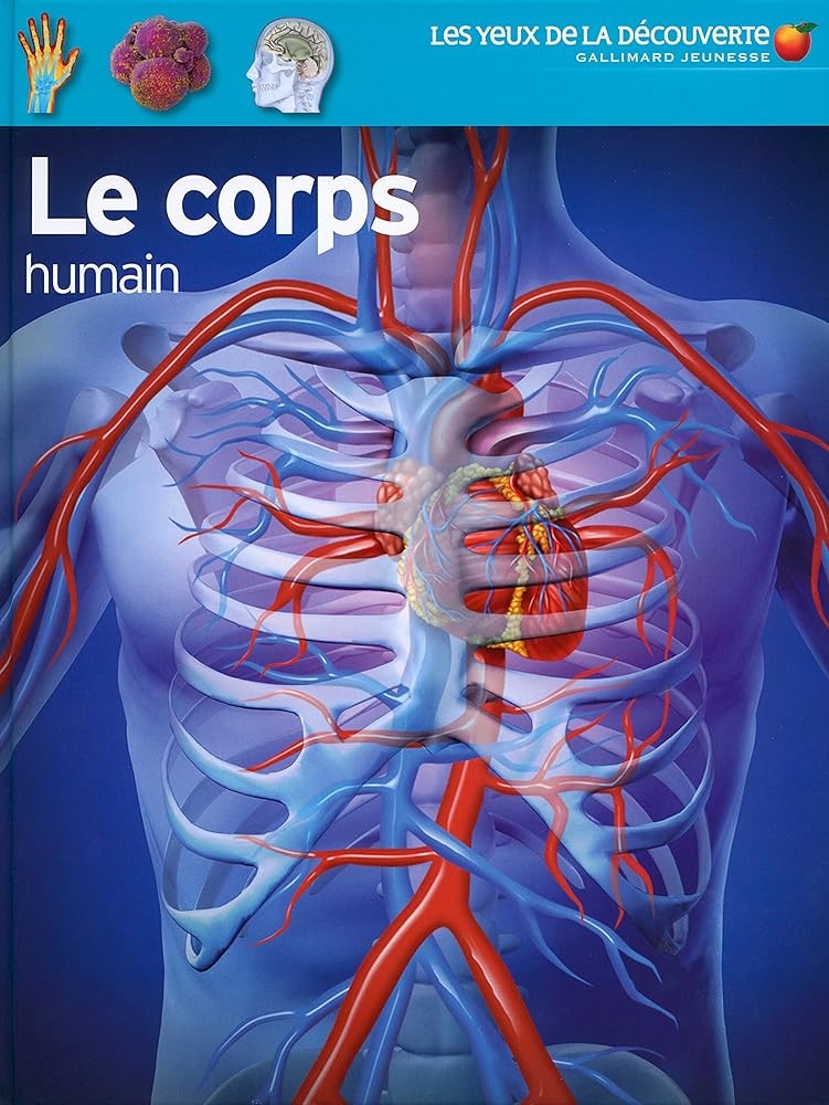 Le corps humain – French Children’s Book | Ages 9-14 (Grades 4-8)