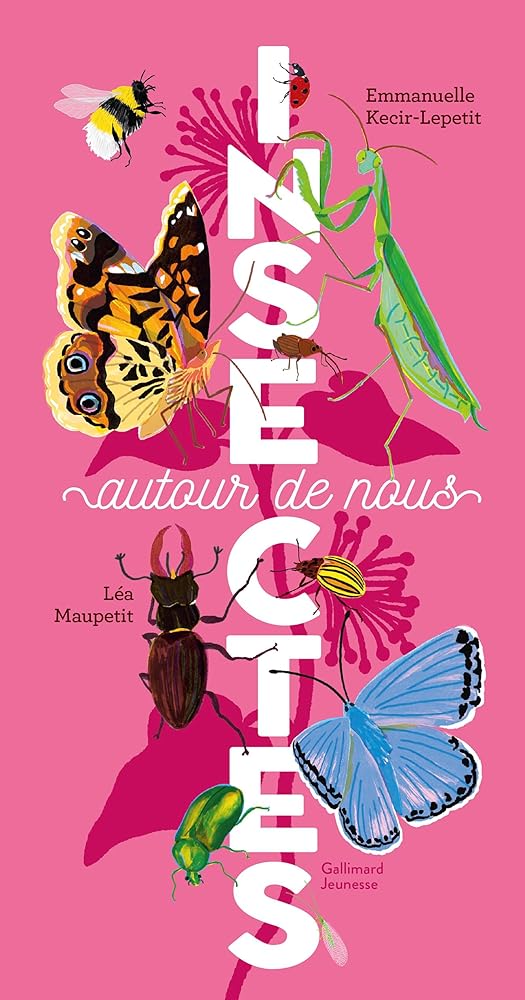 Albums Documentaires - Insectes autour de nous - French Children's Boo